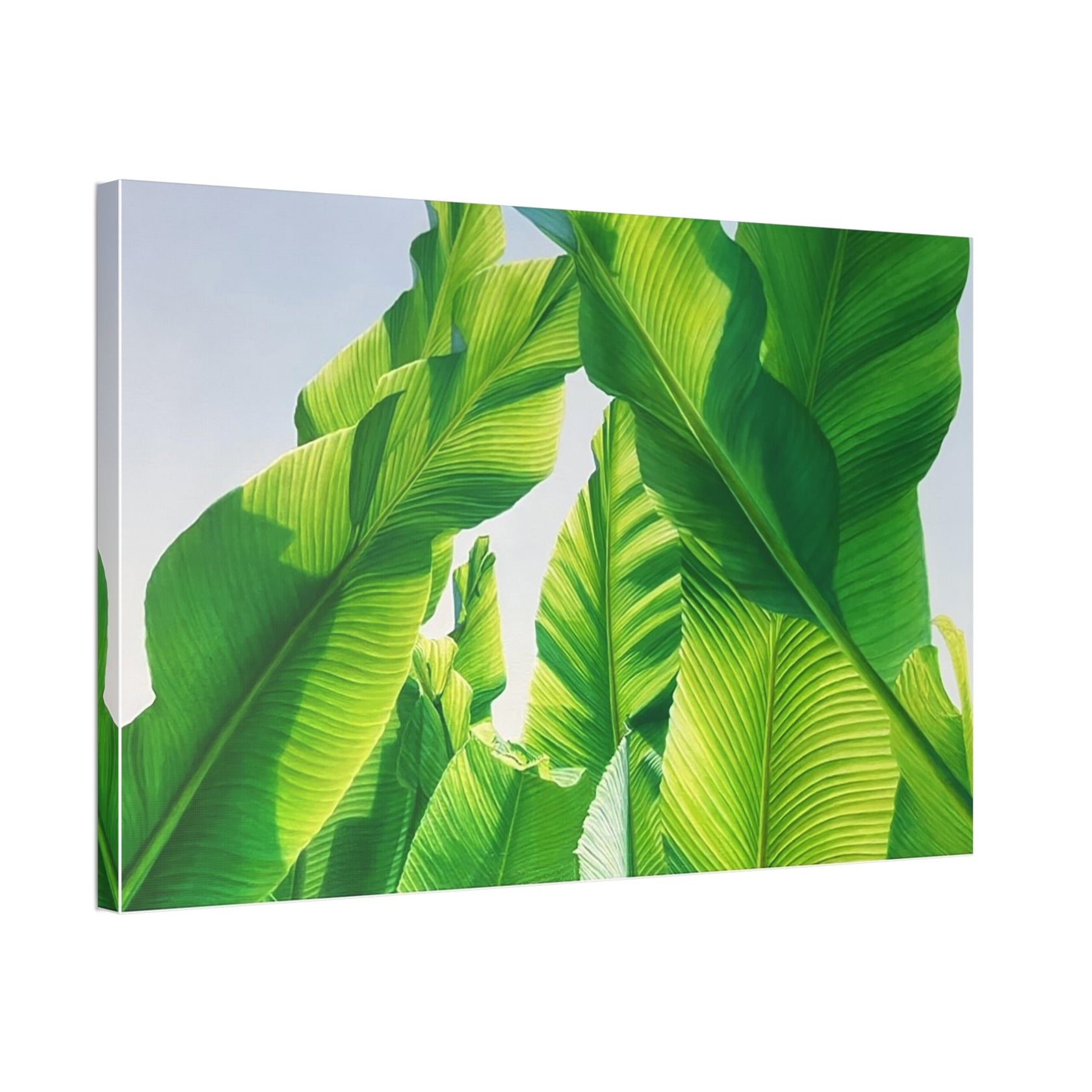 Banana (Canvas or Acrylic) – Reddy Monk Prints