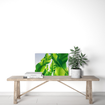 Banana (Canvas or Acrylic) – Reddy Monk Prints