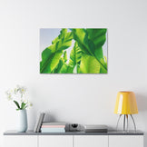 Banana (Canvas or Acrylic) – Reddy Monk Prints